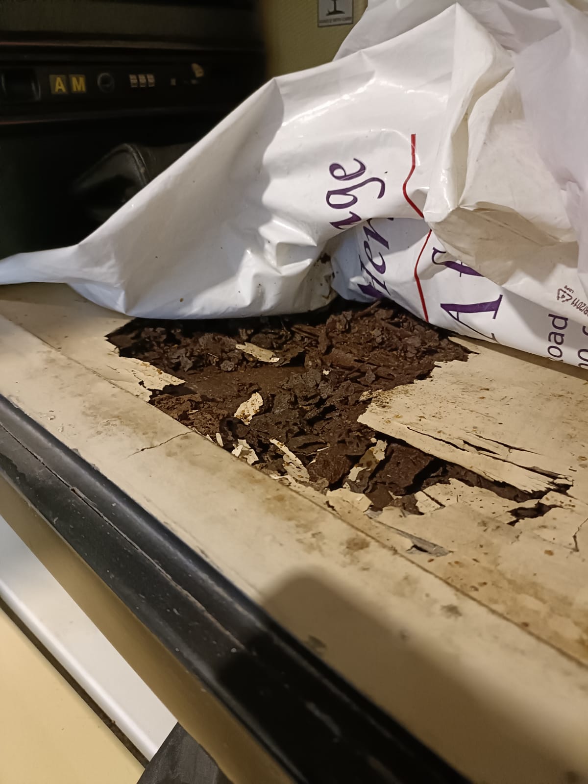 Termite Control – Xpert Pest Control Squad